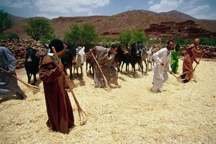Le berbère en images : Anbdu
